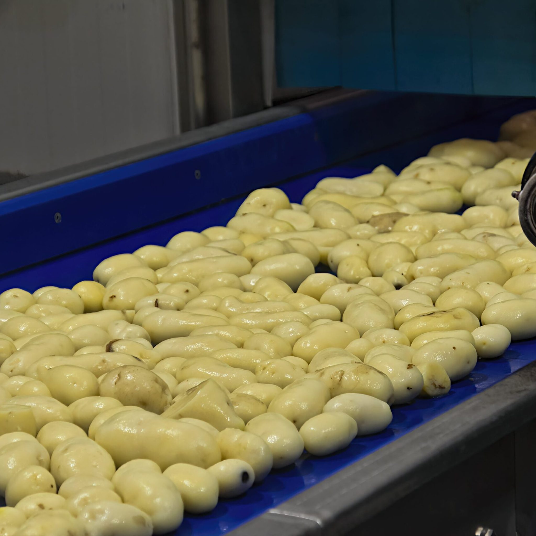 Grover Food | The Journey from Potato to Flake